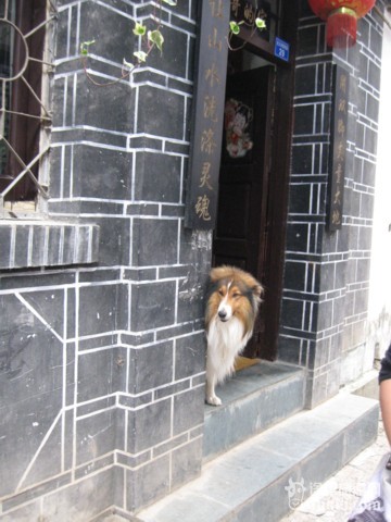 一个人旅行，其实也没有什么不好_ITPUB博客