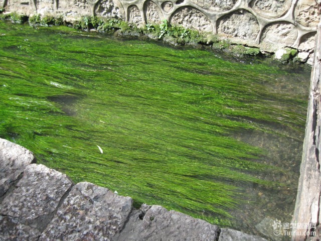 一个人旅行，其实也没有什么不好_ITPUB博客